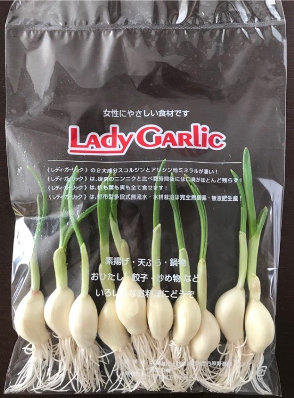 次世代農業・水産業 – 合同会社GROCAL